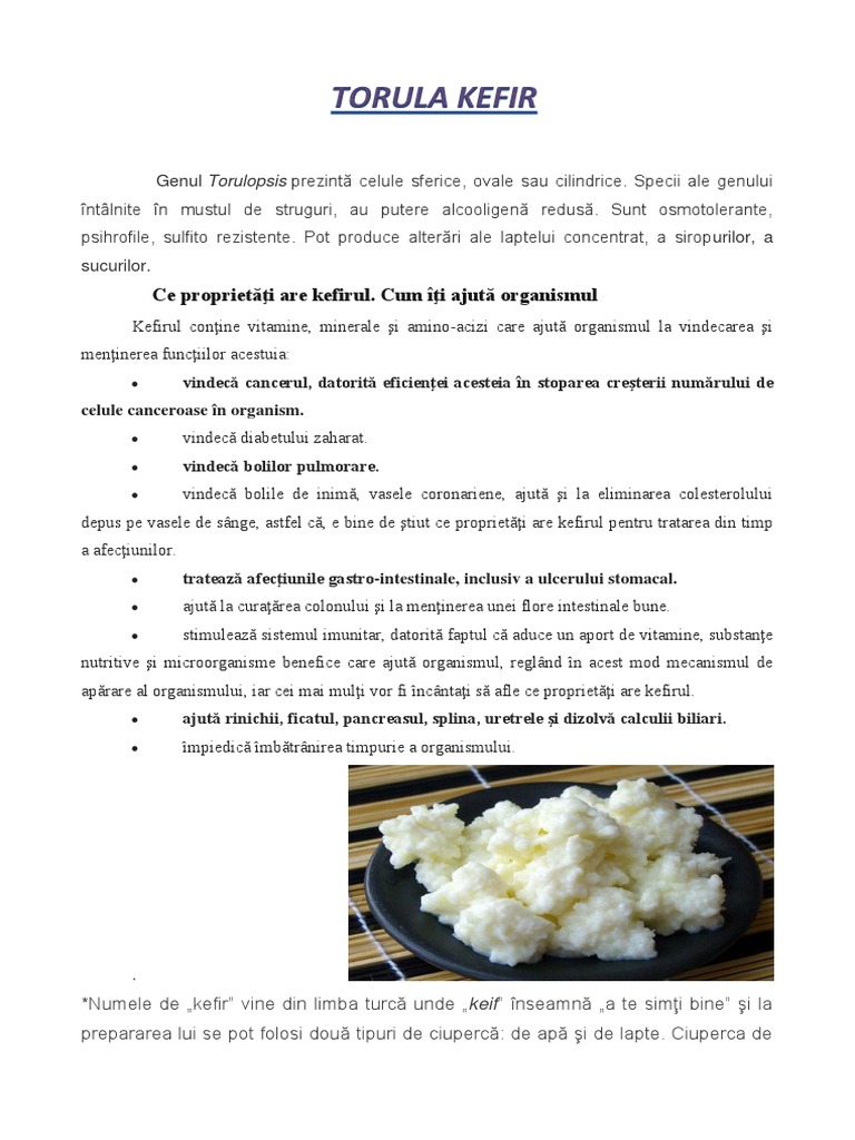 Torula Kefir | PDF