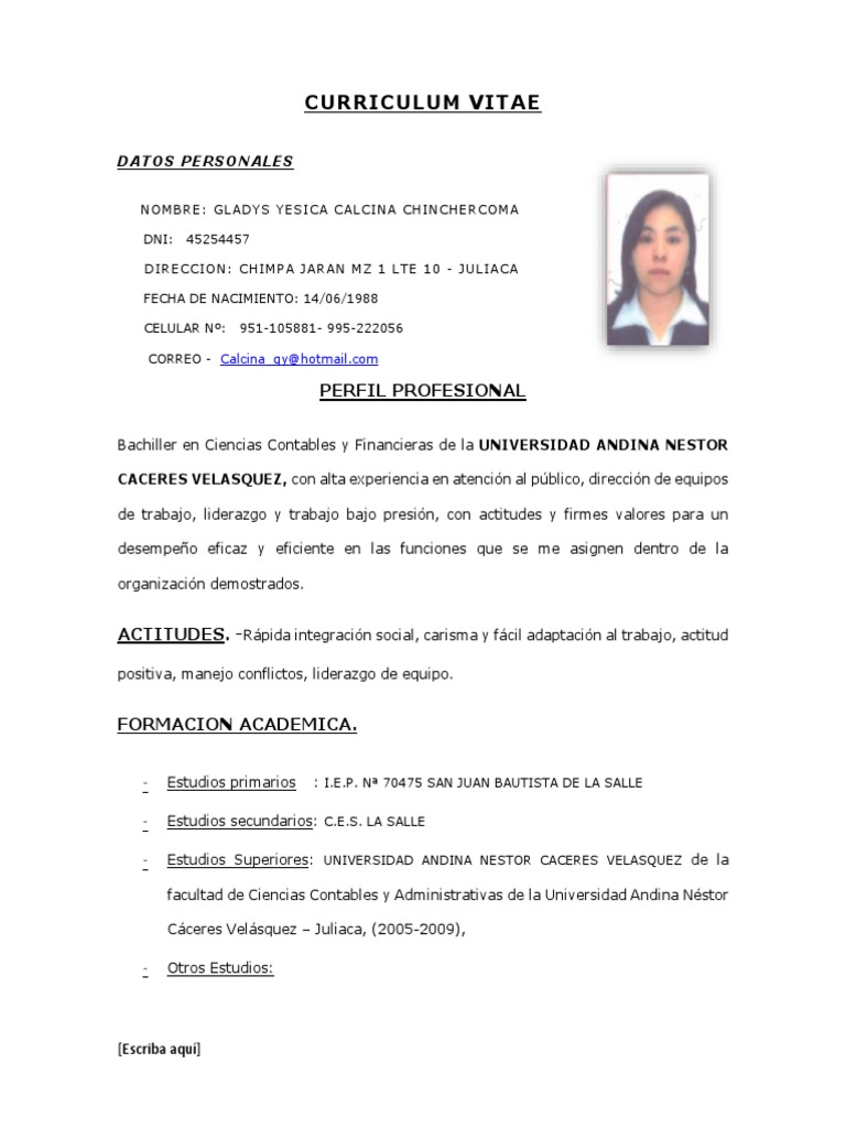 CV Gladys Calcina | PDF | Contador | Business