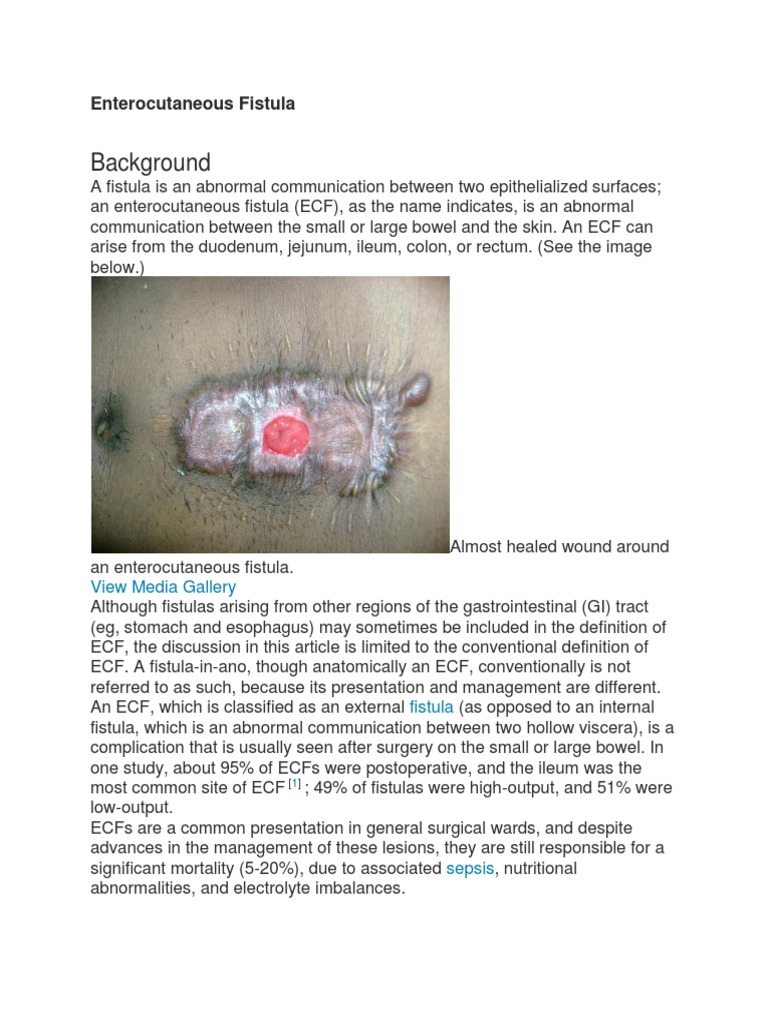 Background: Enterocutaneous Fistula | PDF | Gastrointestinal Tract ...