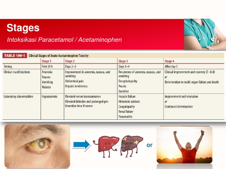 The Four Stages of Paracetamol/Acetaminophen Intoxication: From Initial ...