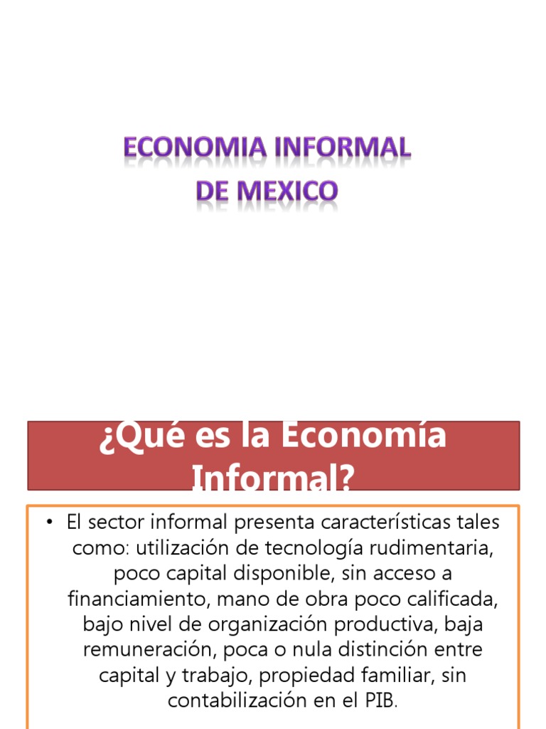 Economia Informal En Mexico Pdf