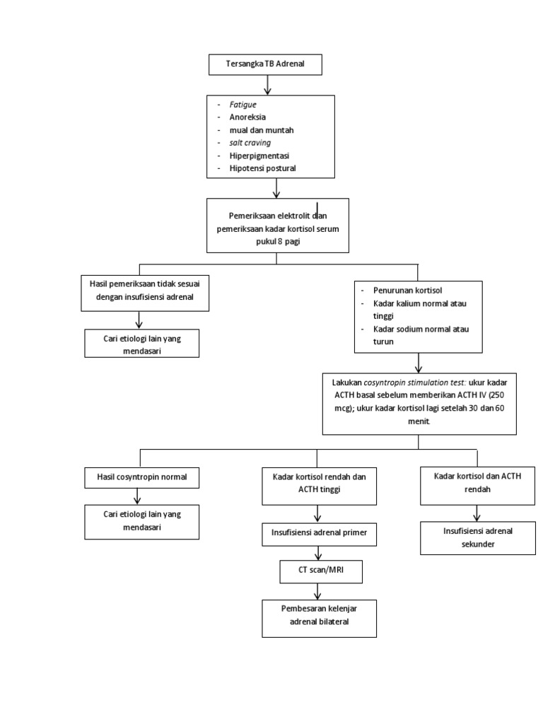 Algoritma TB Adrenal | PDF