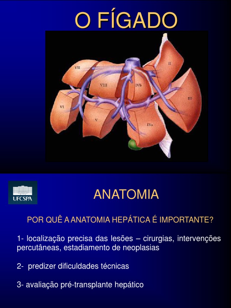 Figado 2015 DPI | Cirrose | Adenoma