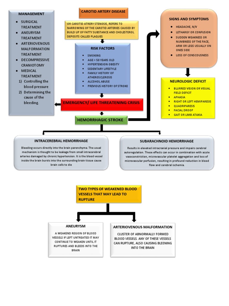 Concept Map of Carotid Artery Disease | PDF | Stroke | Neurological ...