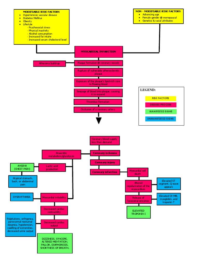 Modifiable Risk Factors Non - Modifiable Risk Factors: Legend | PDF ...