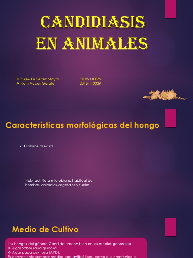 Candidiasis en Animales | Candidiasis | Inmunología