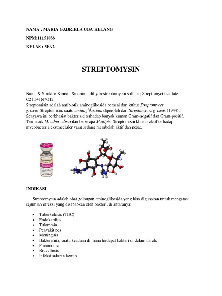 STREPTOMISIN | PDF | Kesehatan Holistik