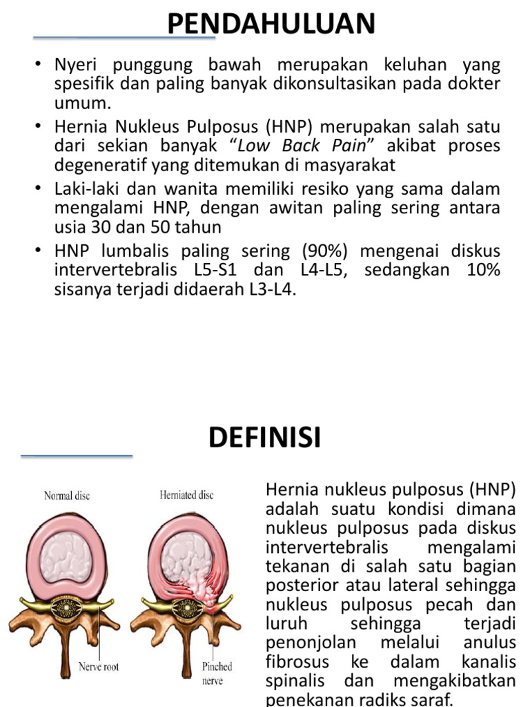 Panduan Lengkap HNP dan LBP | PDF | Sains & Matematika