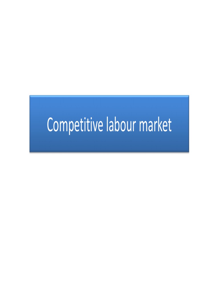 Competitive Labour Market | PDF | Labour Economics | Economic Equilibrium