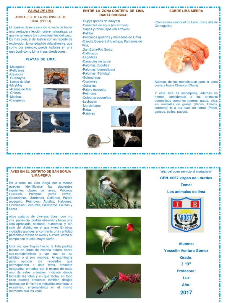 Fauna de Lima | PDF | Lima | Aves