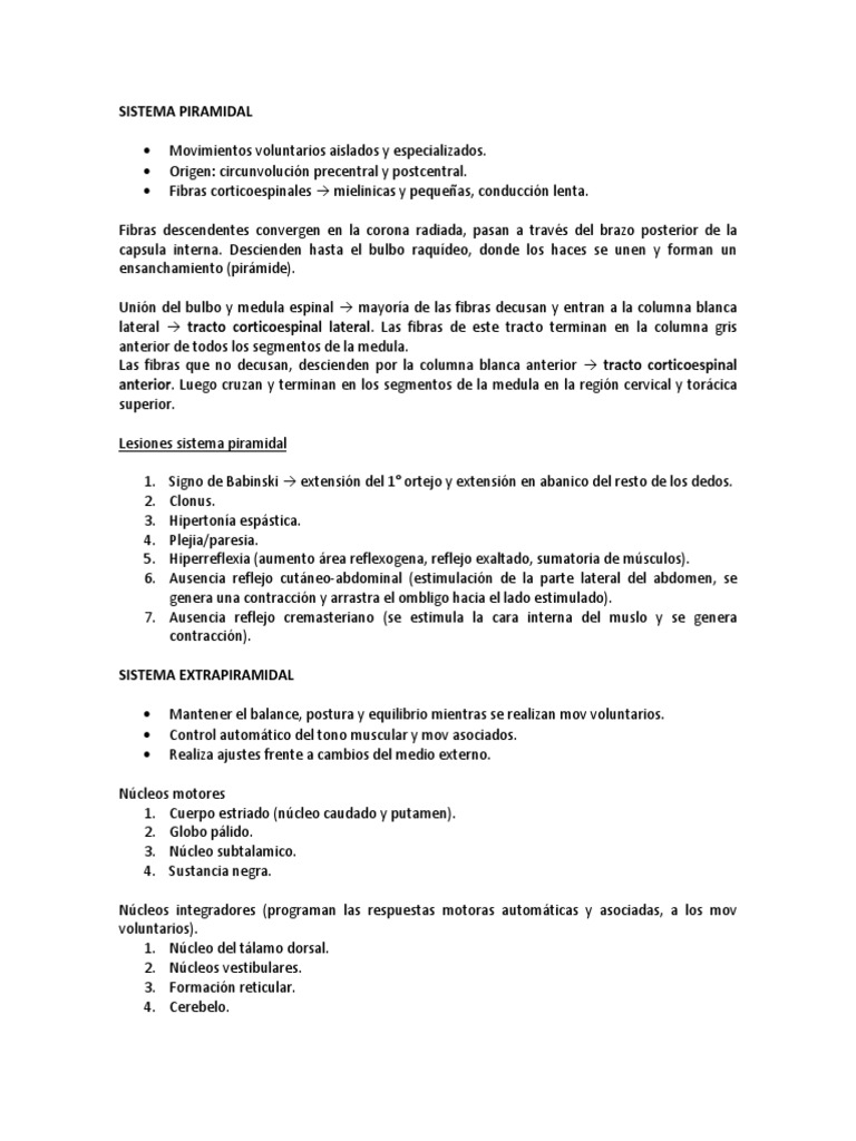 Sistema Piramidal y Extrapiramidal | PDF | Cerebelo | Sistema nervioso