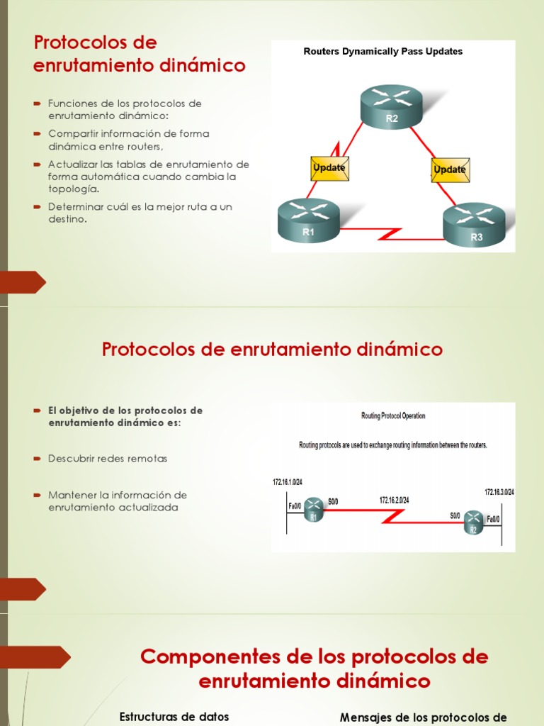 Protocolos de Enrutamiento Dinámico | Descargar gratis PDF | Enrutador (Computación) | Enrutamiento