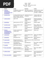 Cat Vs Dog Anatomy Anatomical Differences | PDF | Vertebra | Thorax