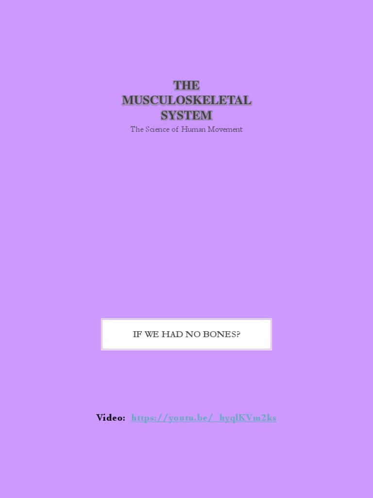 Understanding the Musculoskeletal System | PDF | Human Musculoskeletal ...