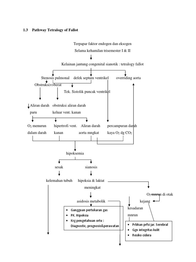 Pathway Tetralogy of Fallot | PDF
