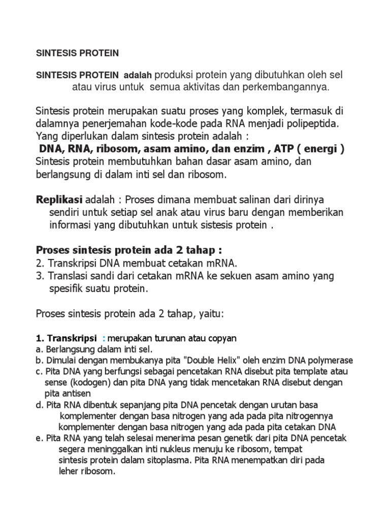 Tahap Sintesis Protein | PDF