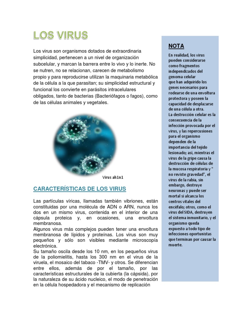 Los Virus | PDF | Virus Zika | Virus
