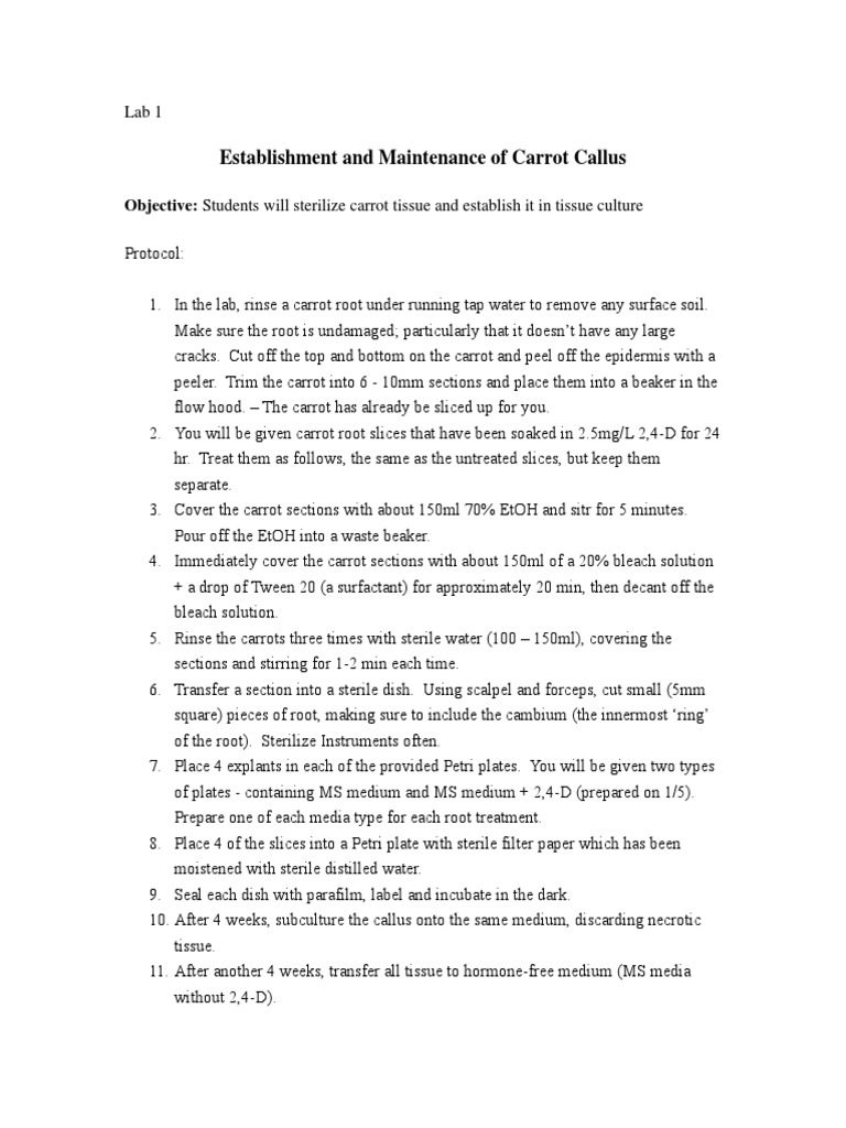 Establish Carrot Callus Tissue Culture | PDF | Organisms | Plants