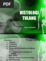 Terminologi Dasar Kedokteran Maba | PDF