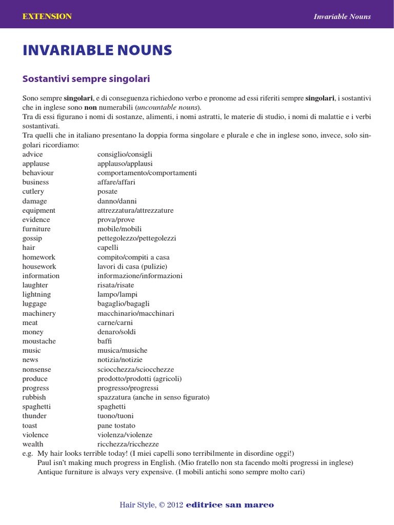 Invariable Nouns | PDF