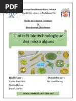Sporulation et structure des spores bactériennes | PDF | Spore | Biologie