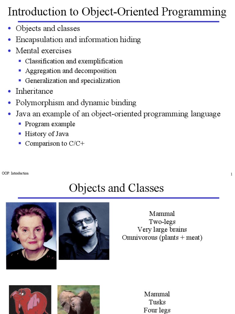 Introduction To Object Oriented Programming Pdf Pdf