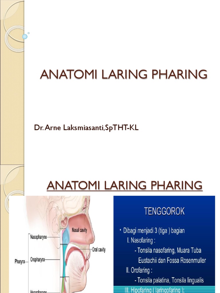 A.anatomi Laring Pharing Tonsil4 | PDF
