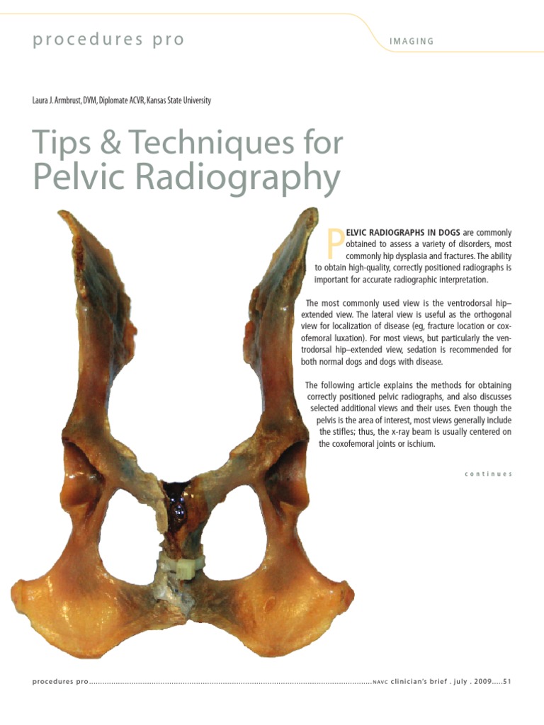 Tips&TechniquesforPelvicRadiography (CB, 2009) | PDF | Pelvis ...