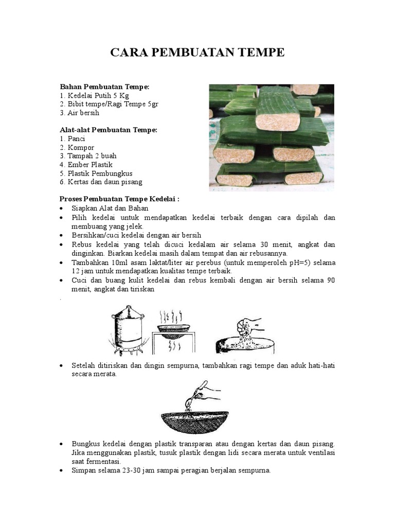 Cara Pembuatan Tempe | PDF