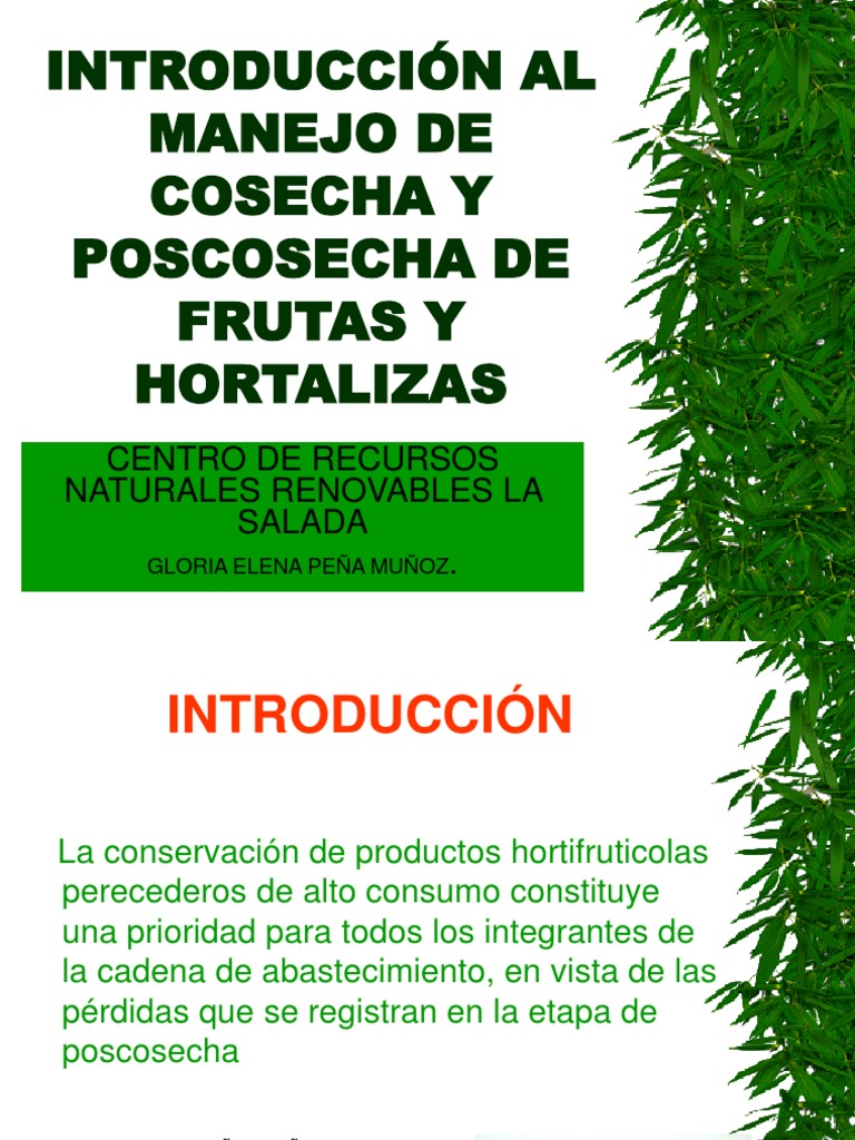 Manejo de Cosecha y Poscosecha 1 | PDF | Plantas Domesticadas | Horticultura y jardinería