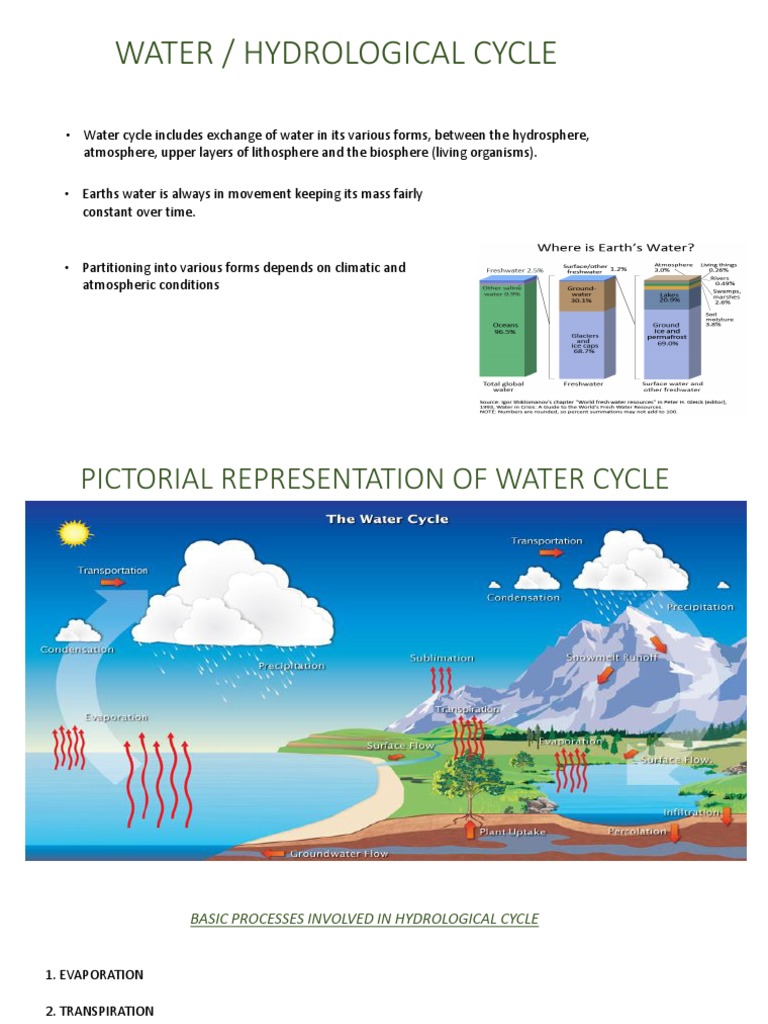 Water / Hydrological Cycle | PDF | Social Science | Science & Mathematics