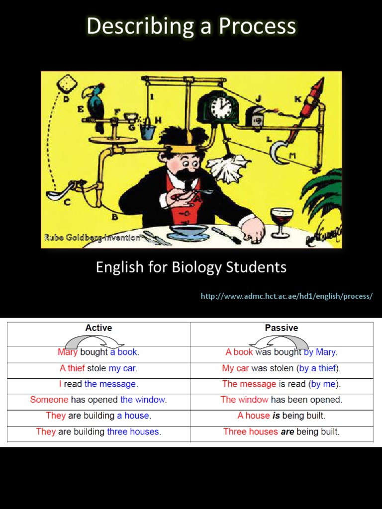 Week 5 - Describing A Process - Exercises | PDF | Language Arts ...