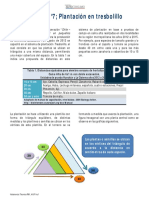 Método de Tres Bolillo | PDF