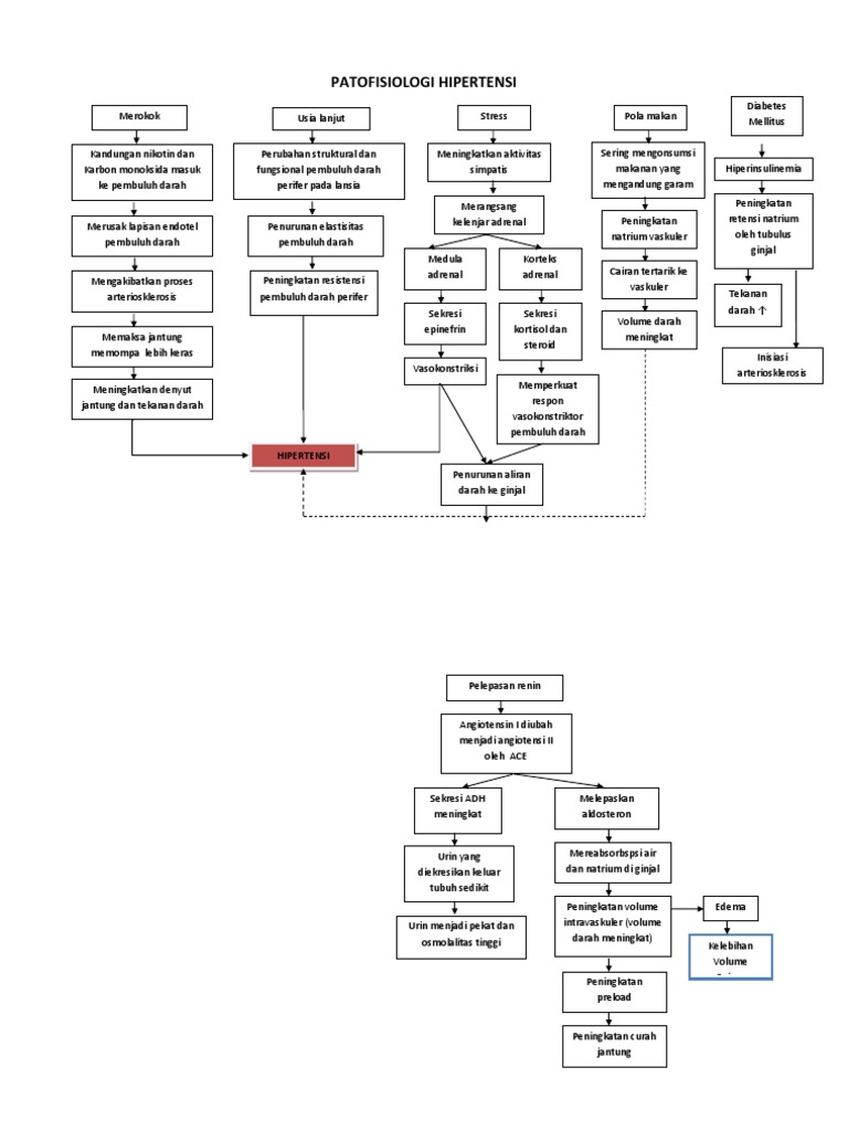 Pathway Hipertensi