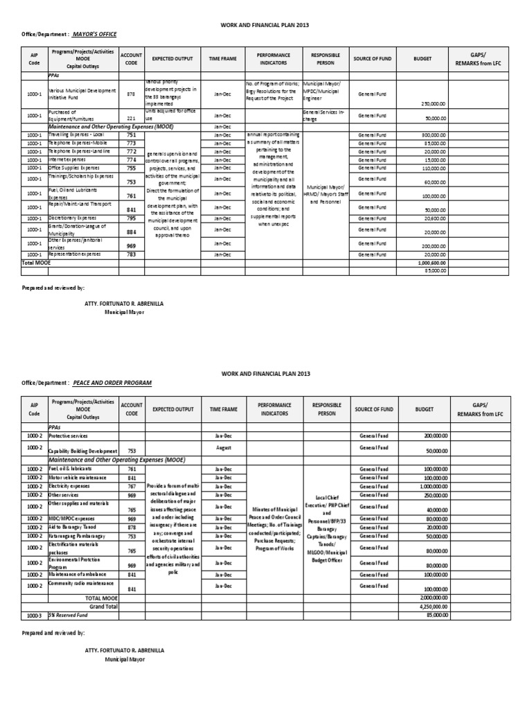 work-and-financial-plan-mayor-expense