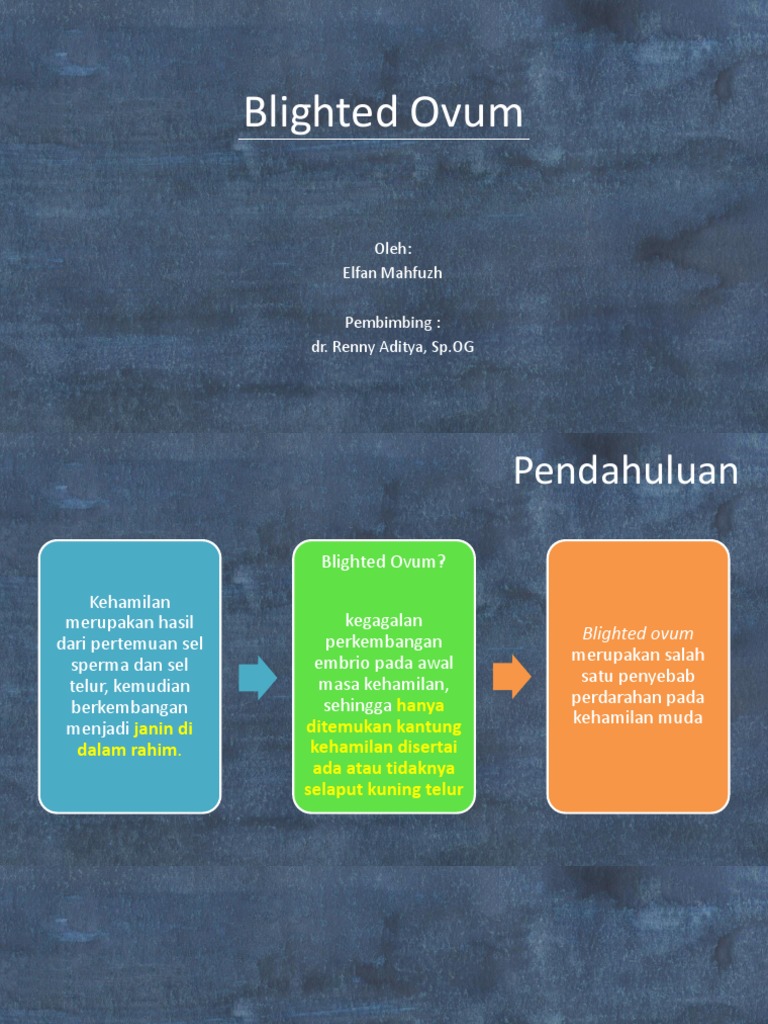 Blighted Ovum | PDF