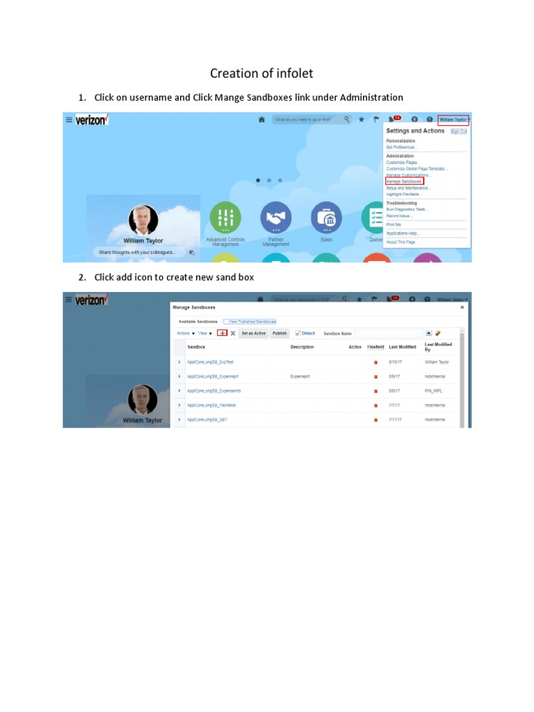 Create Custom Infolets in Sandboxes | PDF