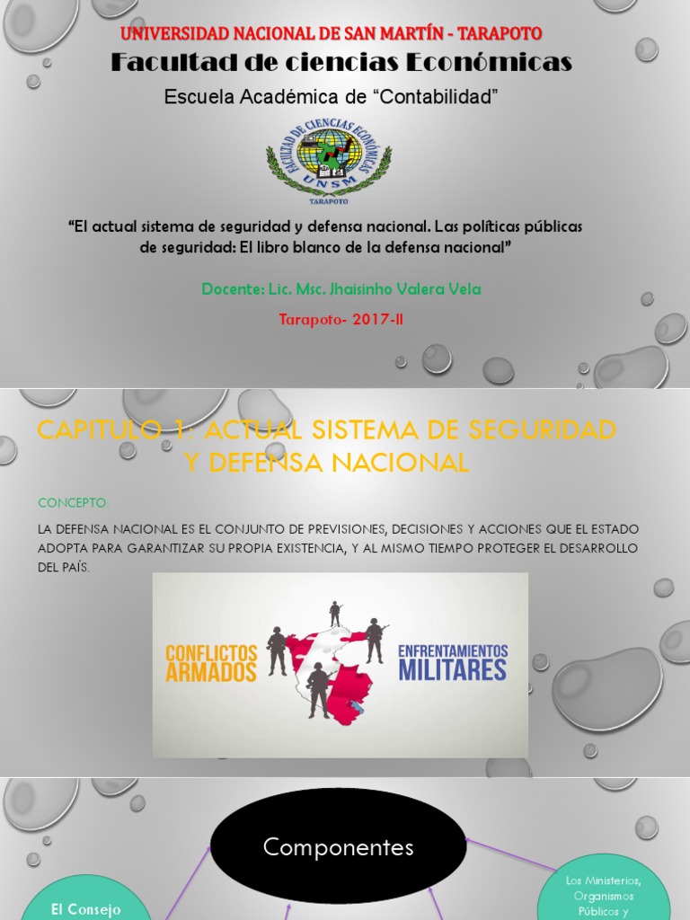 El Actual Sistema de Seguridad y Defensa Nacional Las Políticas ...
