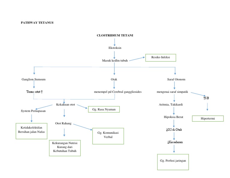 Pathway Tetanus | PDF