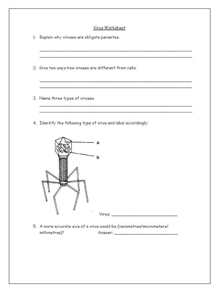Virus Diagram Worksheet