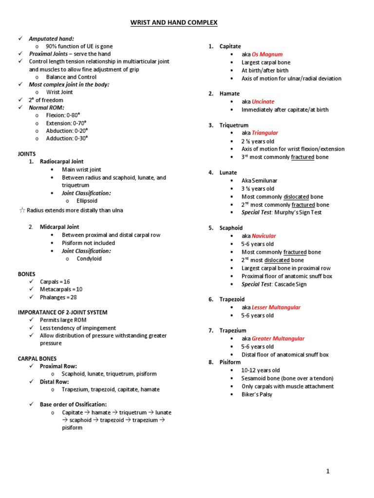 Wrist and Hand Complex | PDF | Thumb | Hand