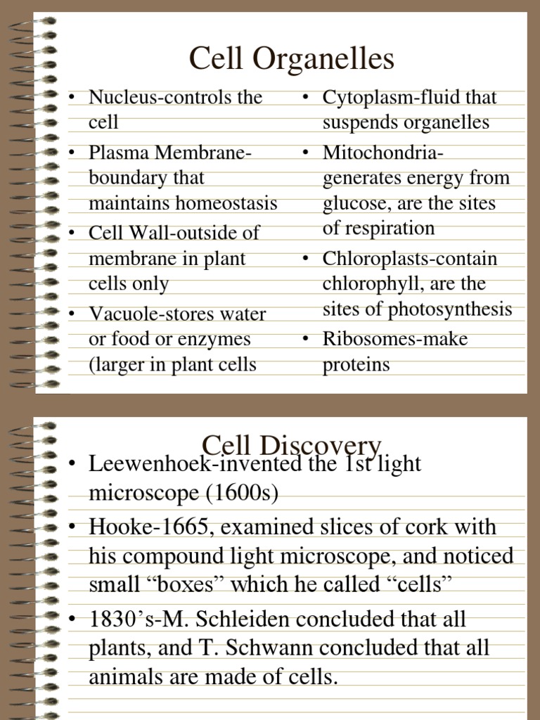 Cells and Membranes Notes For Website | PDF | Cell (Biology) | Cell ...