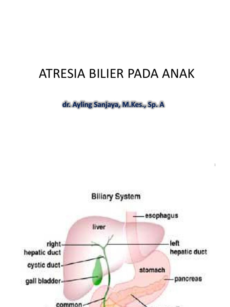 10 Atresia Bilier Pada Anak | PDF | Pengembangan Diri | Kesehatan Holistik