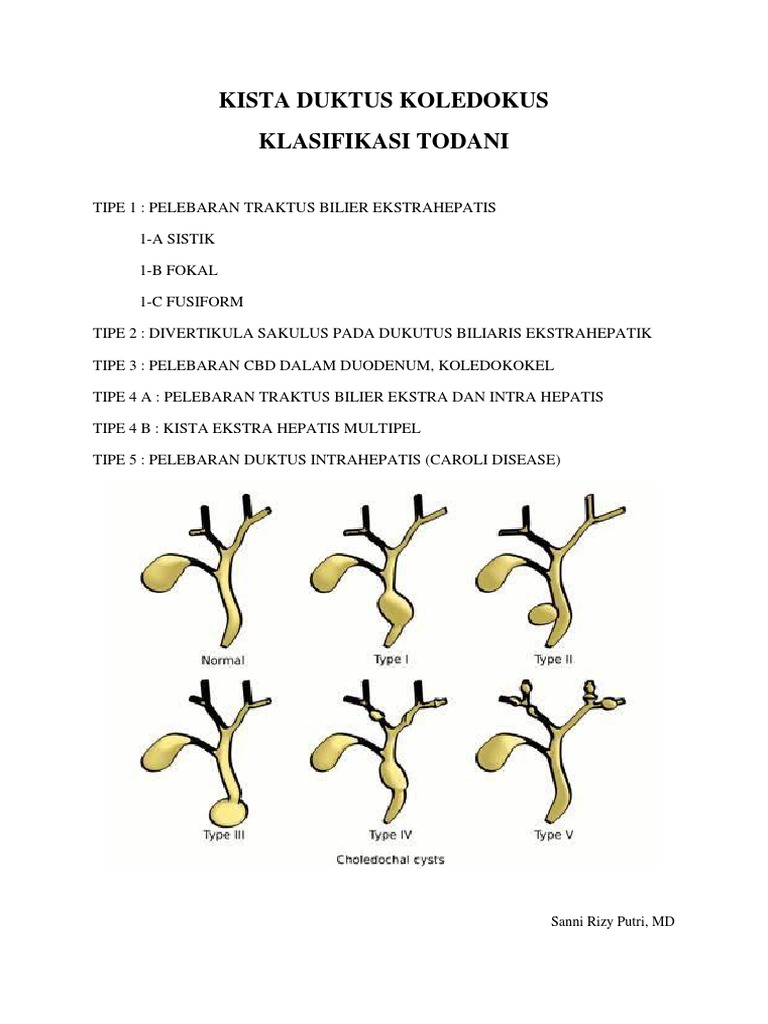 Kista Duktus Koledokus | PDF