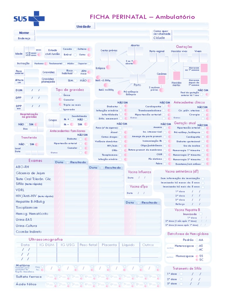 Ficha Perinatal Ambulatorio | PDF | Gravidez | Parto