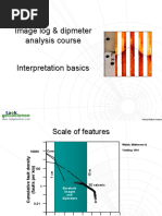 Borehole Image Log Interpretation Guide | PDF