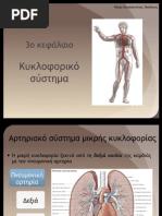 TO ΟΥΡΟΠΟΙΗΤΙΚΟ ΣΥΣΤΗΜΑ-ΑΝΑΤΟΜΙΑ | PDF