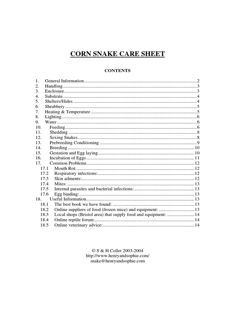 Corn Snake Care Sheet | PDF | Vivarium | Snake