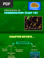 ACTIVITY Protist Dichotomous Key Activity | PDF | Biology | Cell Anatomy