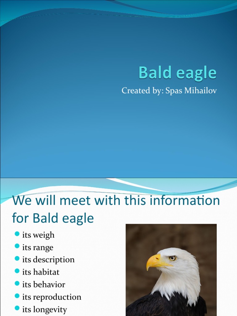 Bald Eagle | PDF | Science & Mathematics | Religion & Spirituality